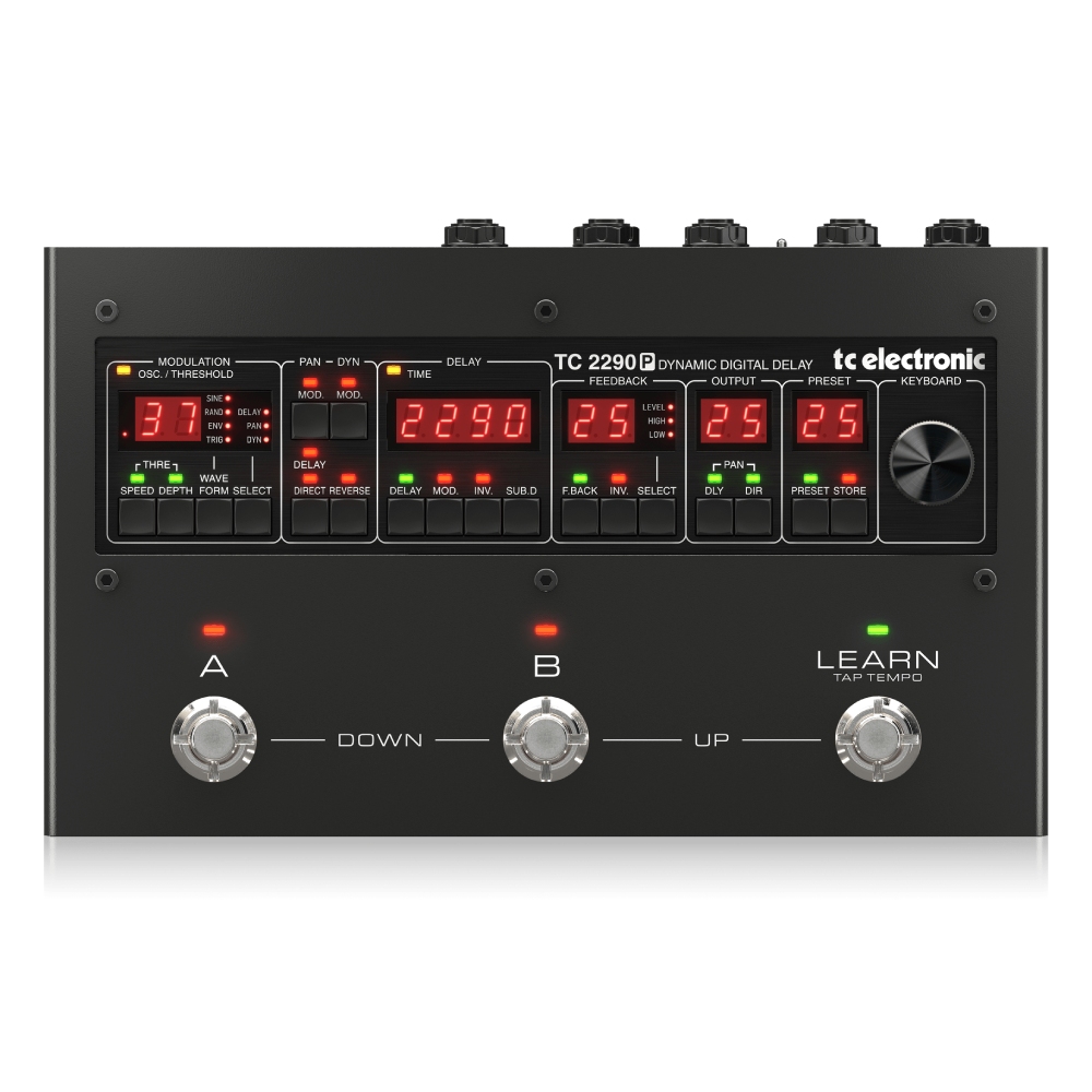 TC Electronic 2290 P DYNAMIC DIGITAL DELAY Dinamik Dijital Delay Pedalı ...