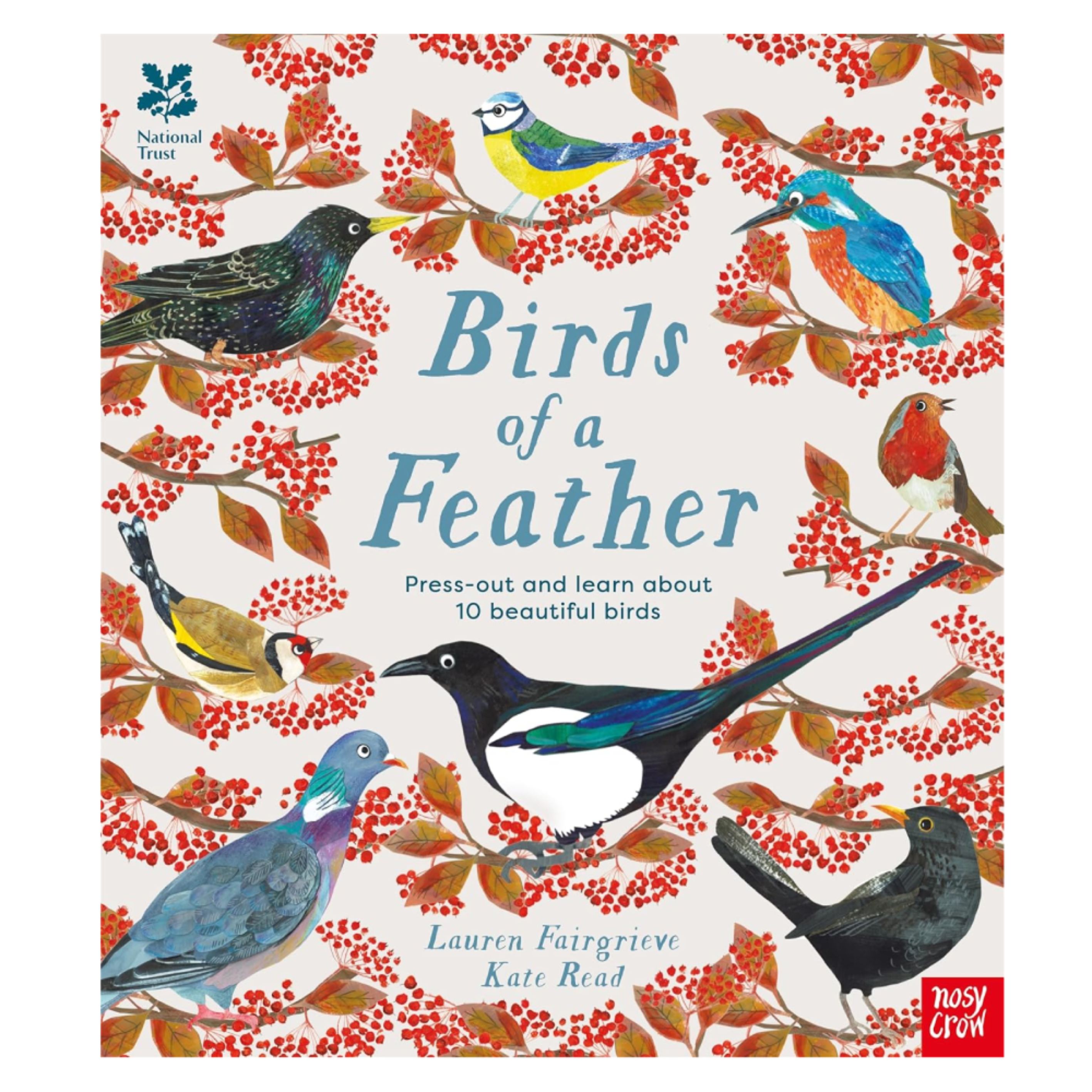 National Trust: Birds of a Feather: Press Out and Learn About 10 ...